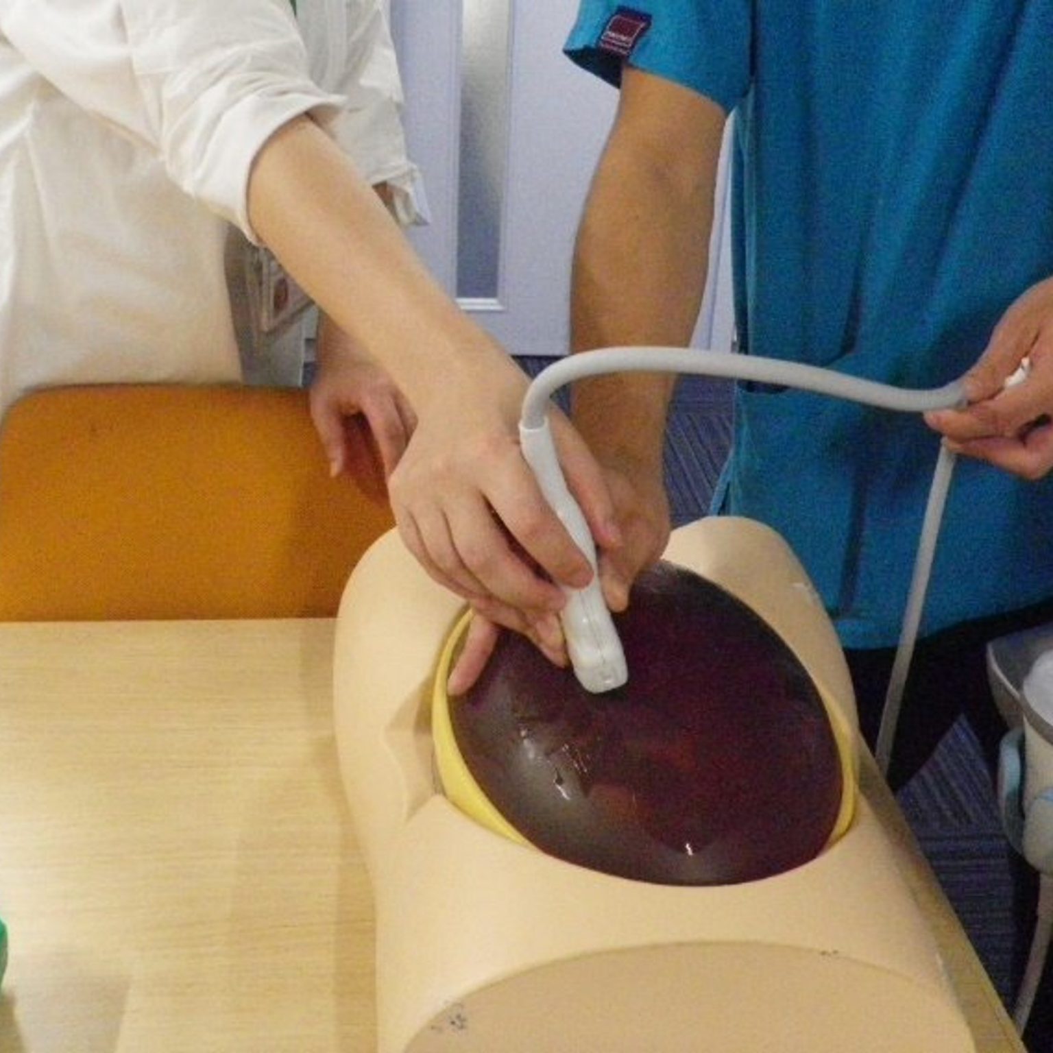 研究内容 | QOLT Lab.