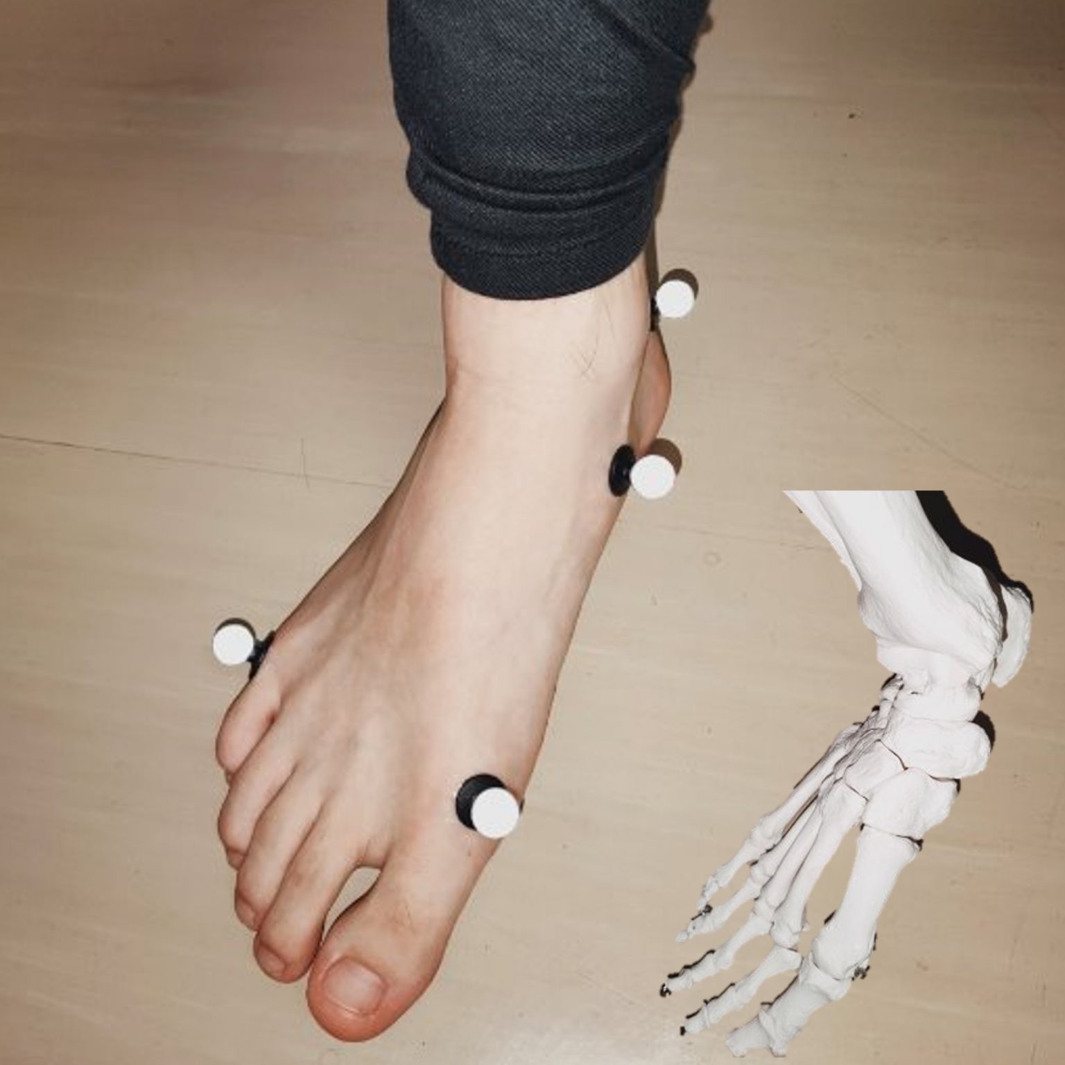 研究内容 | QOLT Lab.